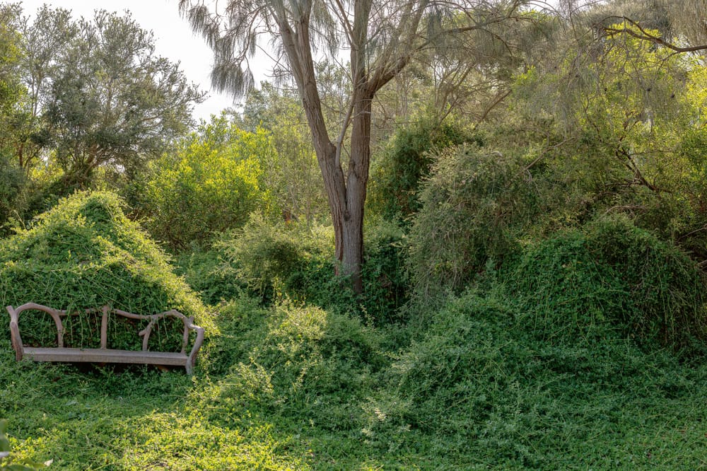 The gift of a garden