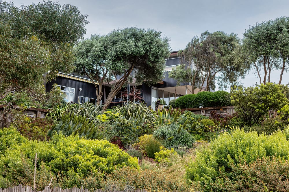 The gift of a garden